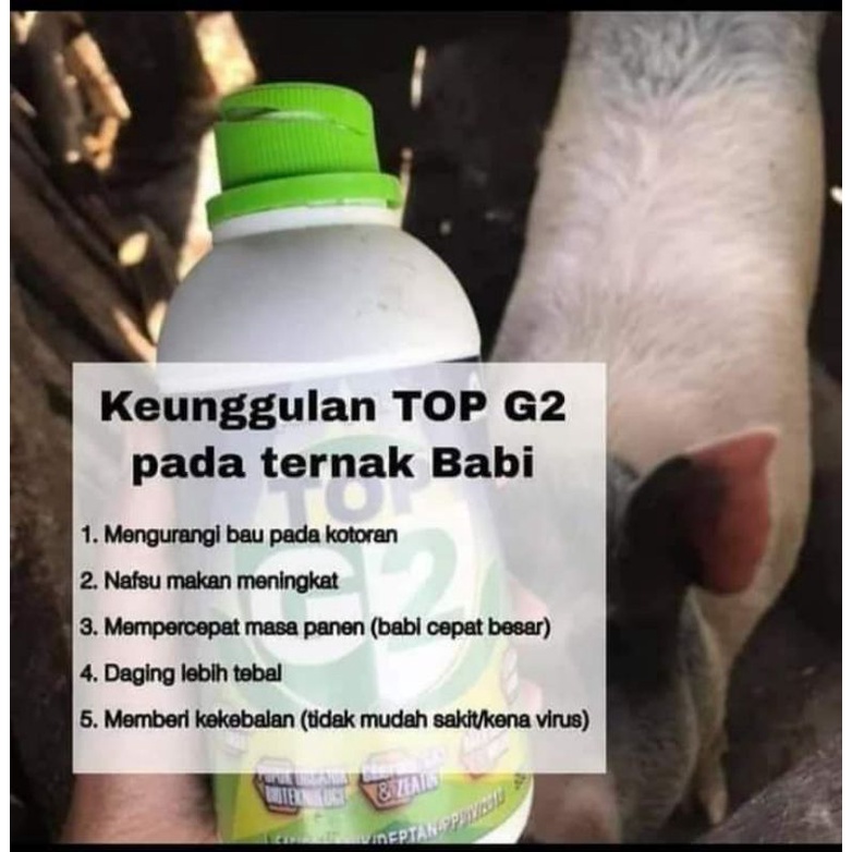 Jual Pupuk TOP G2 produk HWI cocok untuk semua jenis tanaman | Shopee ...