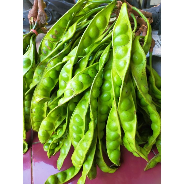 Jual sayur Pete | Shopee Indonesia