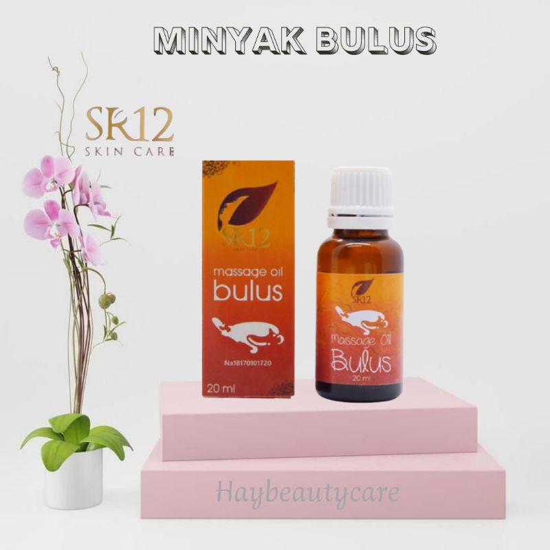 Jual Minyak Bulus Sr12 20ml / Message Oil Bulus (100% HERBAL ORIGINAL ...