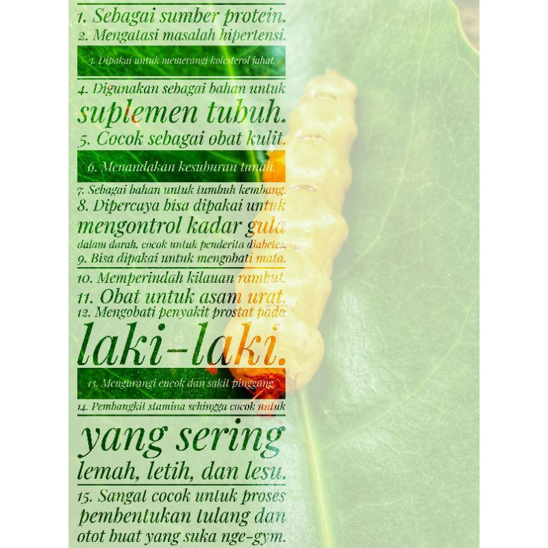 Jual Ratu Rayap | Shopee Indonesia