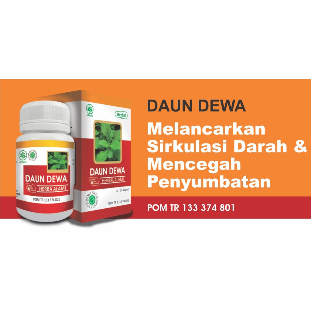 Jual DAUN DEWA Obat Herbal melancarkan sirkulasi darah batuk darah ...