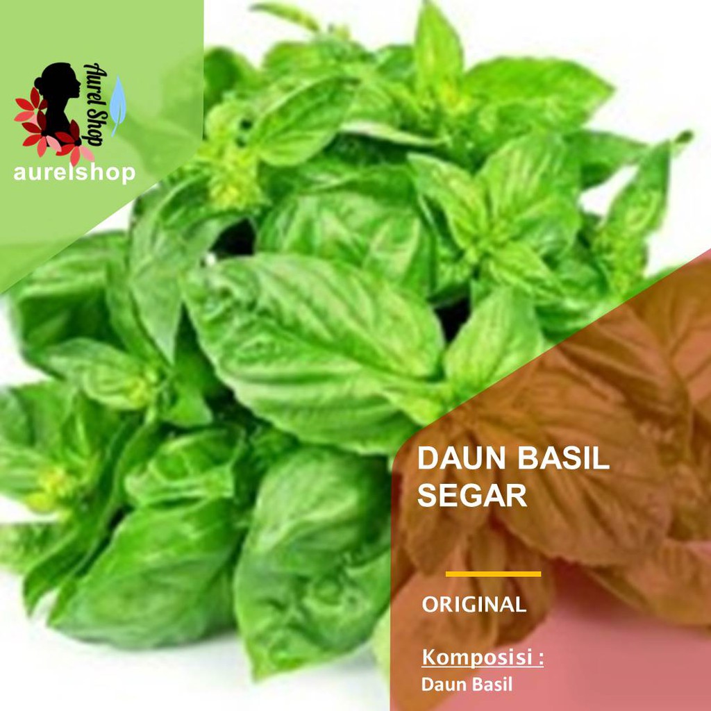 Jual Daun Basil Segar kemasan 1 kg | Shopee Indonesia