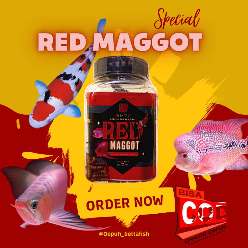Jual SUPER Red PREMIUM Red Maggot with Beta-carotene and Color enhancer ...