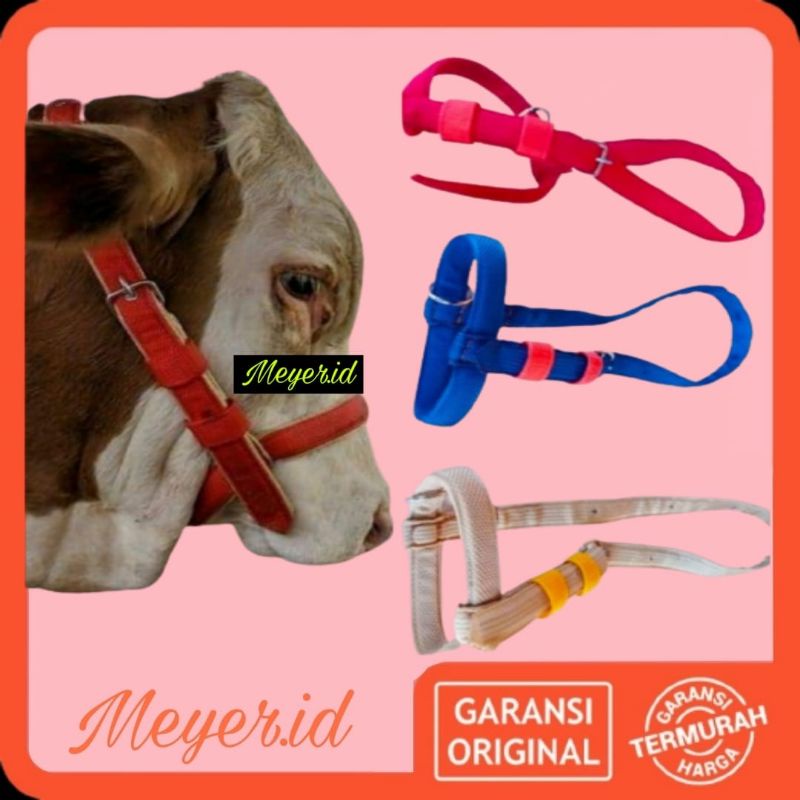 Jual [COD] TALI SAPI ,KAMBING / BRANGUS SAPI / IKAT KEPALA SAPI / BRACOK / BRONGSONG / HEAD ...