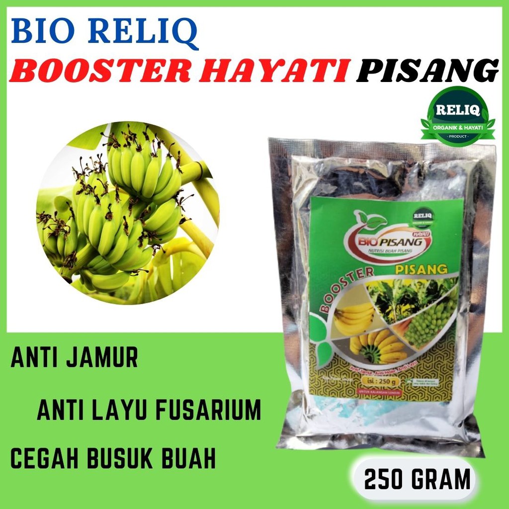 Jual Booster Hayati Pisang, Pupuk Buah Pisang, Pupuk Tricoderma Layu Fusarium Pisang | Shopee ...