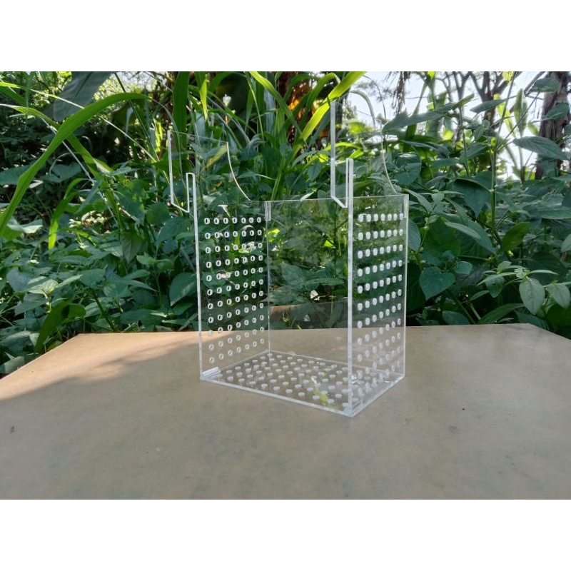 Jual box breeding ikan guppy | Shopee Indonesia