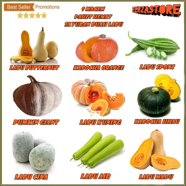 Jual biji benih Paket Hemat 10 Macam Benih Sayuran buah labu kabocha labu butternut labu madu ...