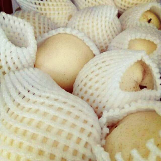 Jual Pear Madu Century 1kg Sangat renyah dan manis | Shopee Indonesia