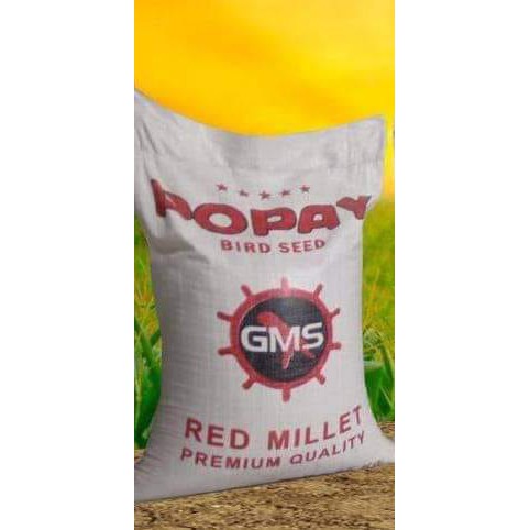 Jual "Popay" Millet Merah/Pakan Burung Love Bird | Shopee Indonesia