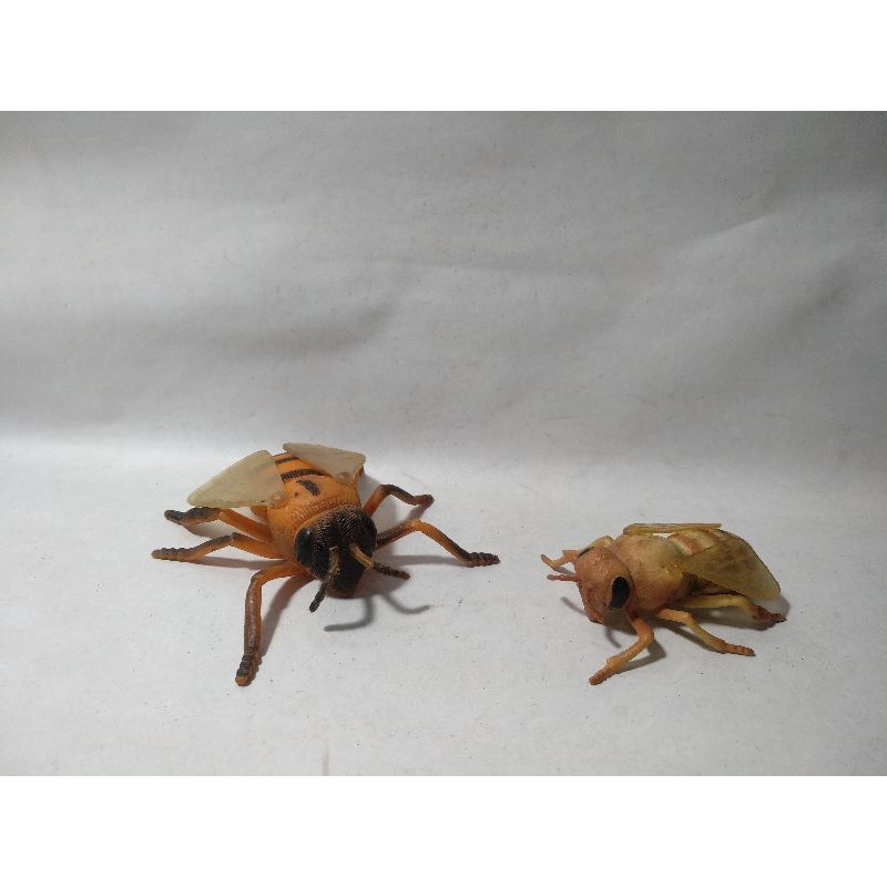 Jual Mainan Diorama Ratu Lebah Tawon Bee Wasp Bugs Bees Wasps Serangga ...