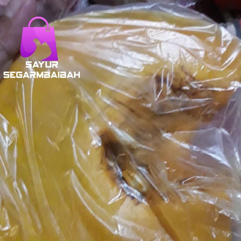 Jual labu kuning | Shopee Indonesia