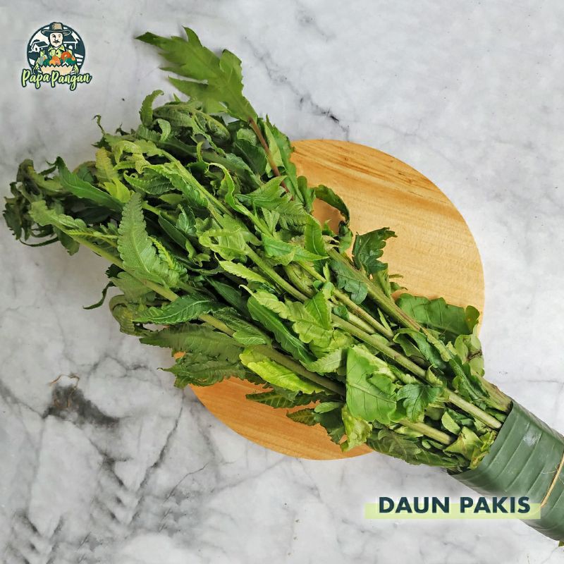 Jual Daun Pakis Papapangan - 150 gram | Shopee Indonesia