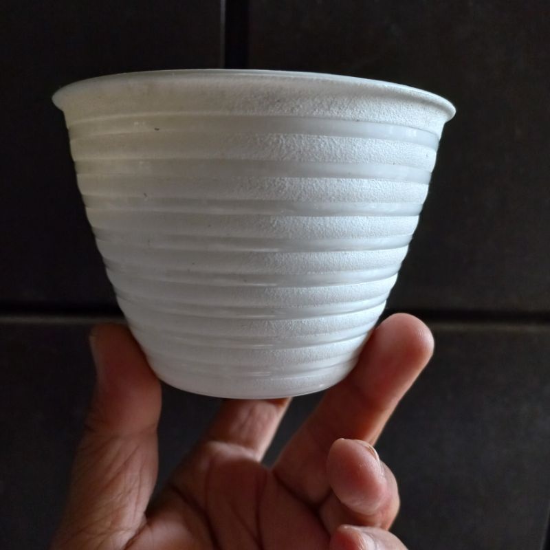 Jual Pot Kecil /Kaktus BJ Tawon 10cm | Shopee Indonesia