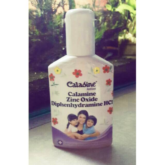 Jual caladine lotion 60ml dan 95ml | Shopee Indonesia