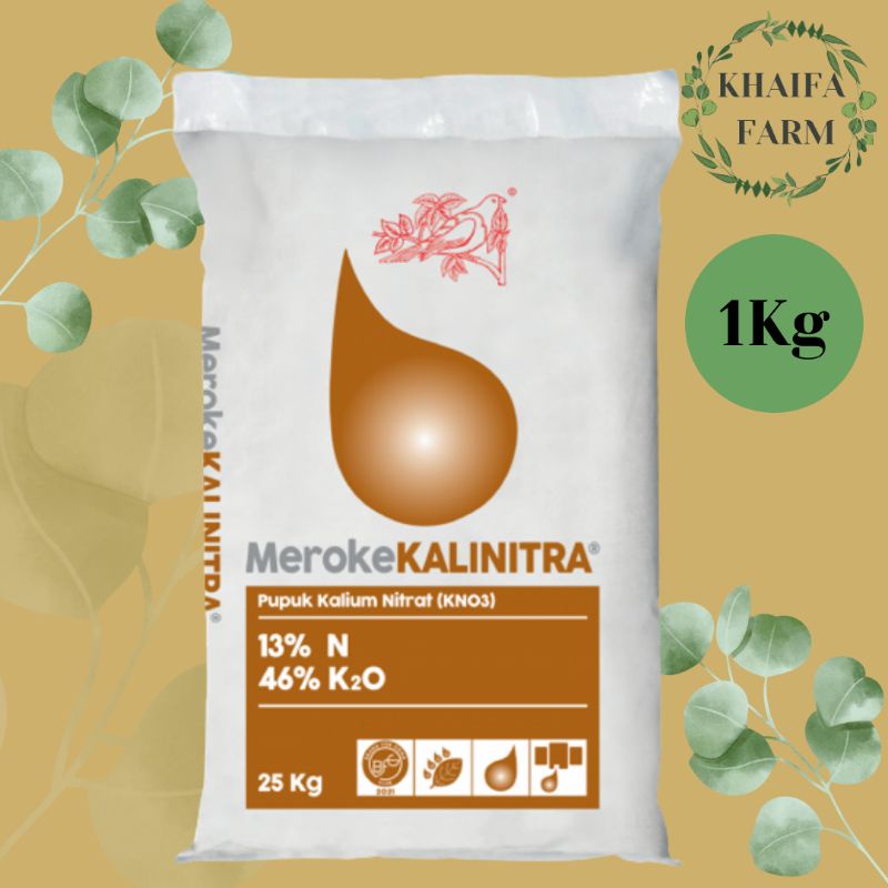 Jual Meroke Kalinitra (1Kg) | Shopee Indonesia