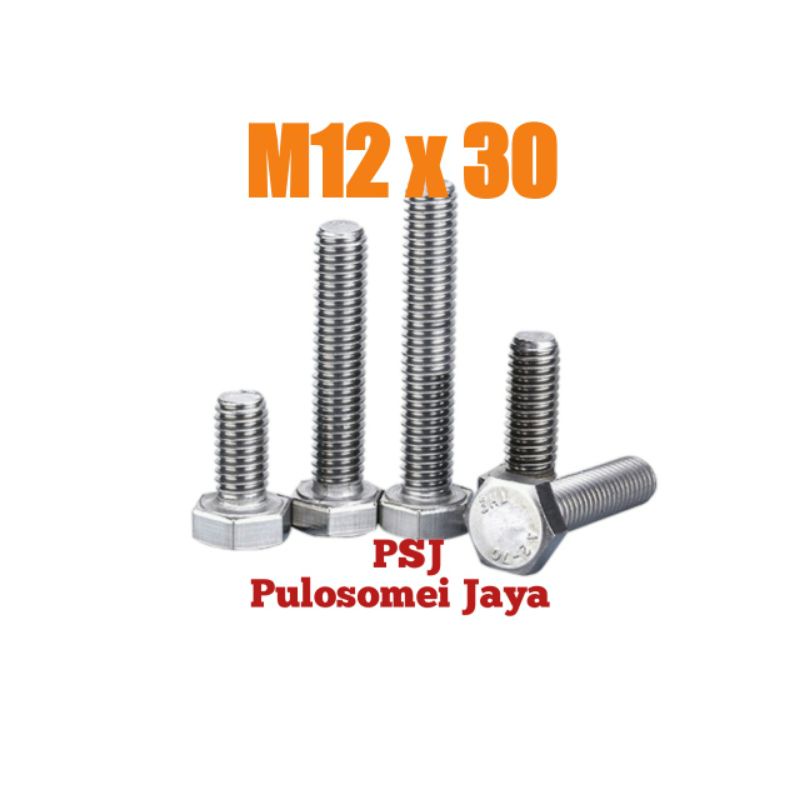 Jual Baut Mur Stainless M12 x 30 mm / Bolt Nut Stainless Steel 304 | Shopee Indonesia