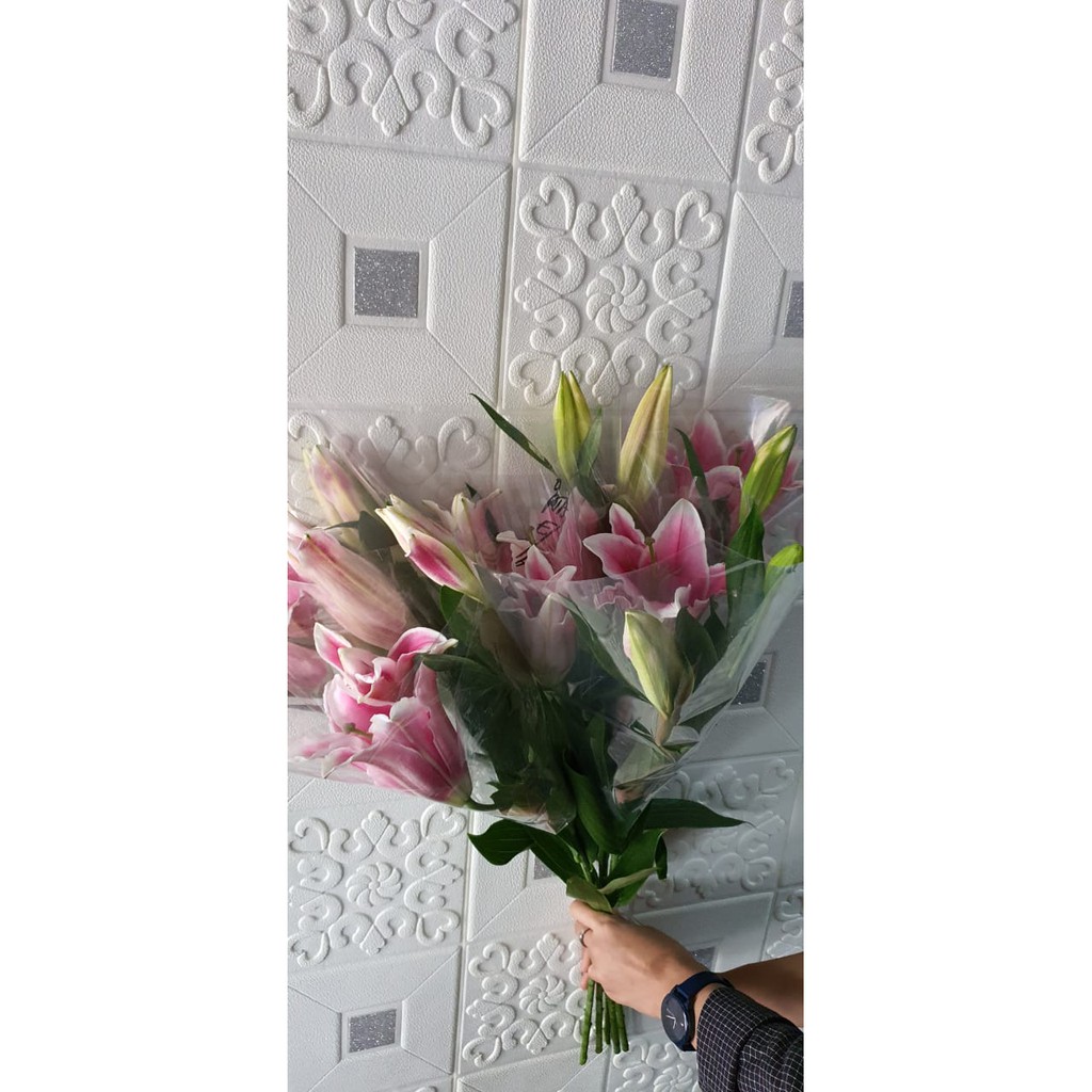 Jual BUNGA LILY | LILY HIDUP | LILY SEGAR | BUNGA LILY PINK | BUNGA ...