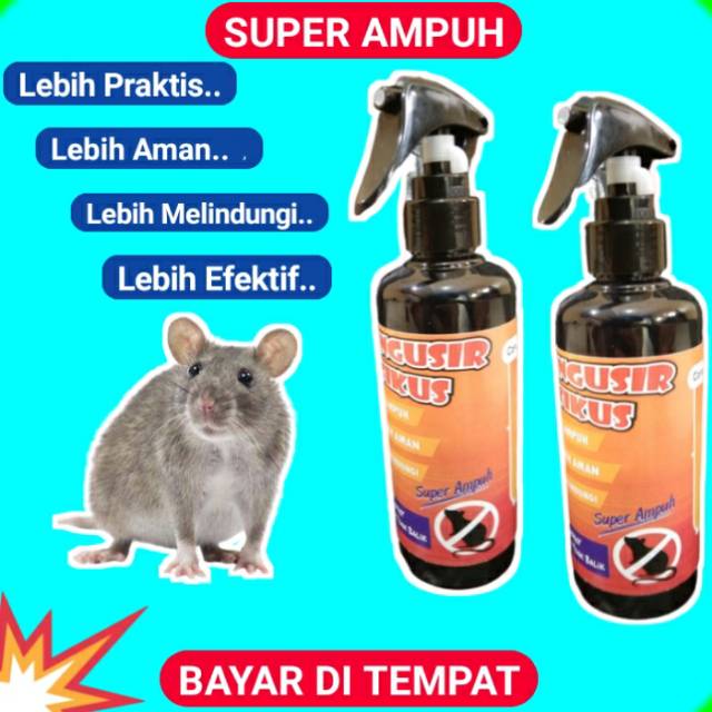 Jual SEMPROTAN PENGUSIR TIKUS OBAT PENGUSIR ANTI TIKUS AMPUH | Shopee ...