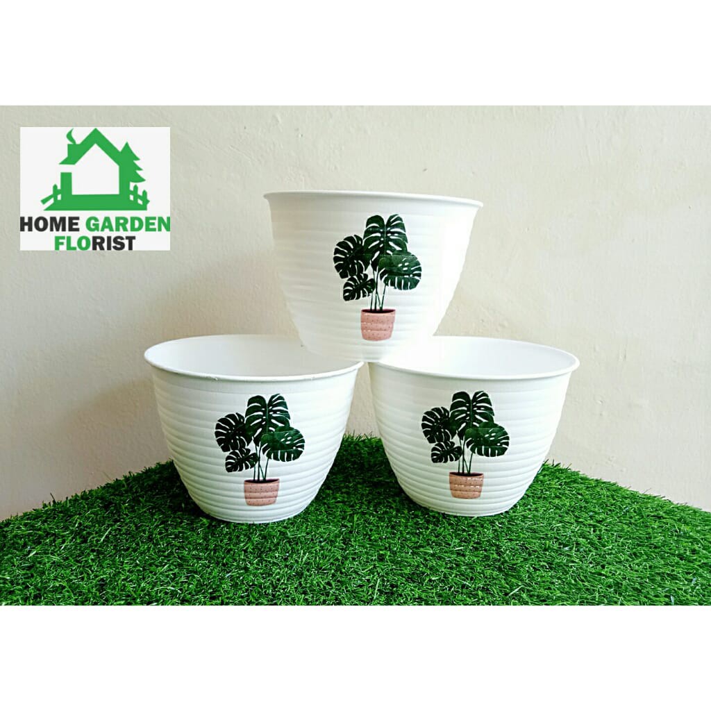 Jual (GROSIR) 6 PCS POT TAWON/POT TAWON LUKIS /POT LUCU / (MONSTERA ...