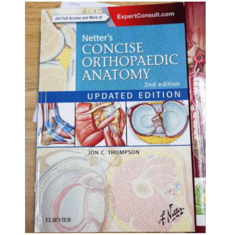 Jual Netters Concise Orthopaedic Anatomy 2e Updated Edition - Jon ...