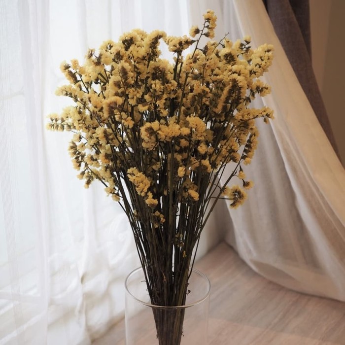 Jual Dried Flower / Bunga Kering Statice | Shopee Indonesia