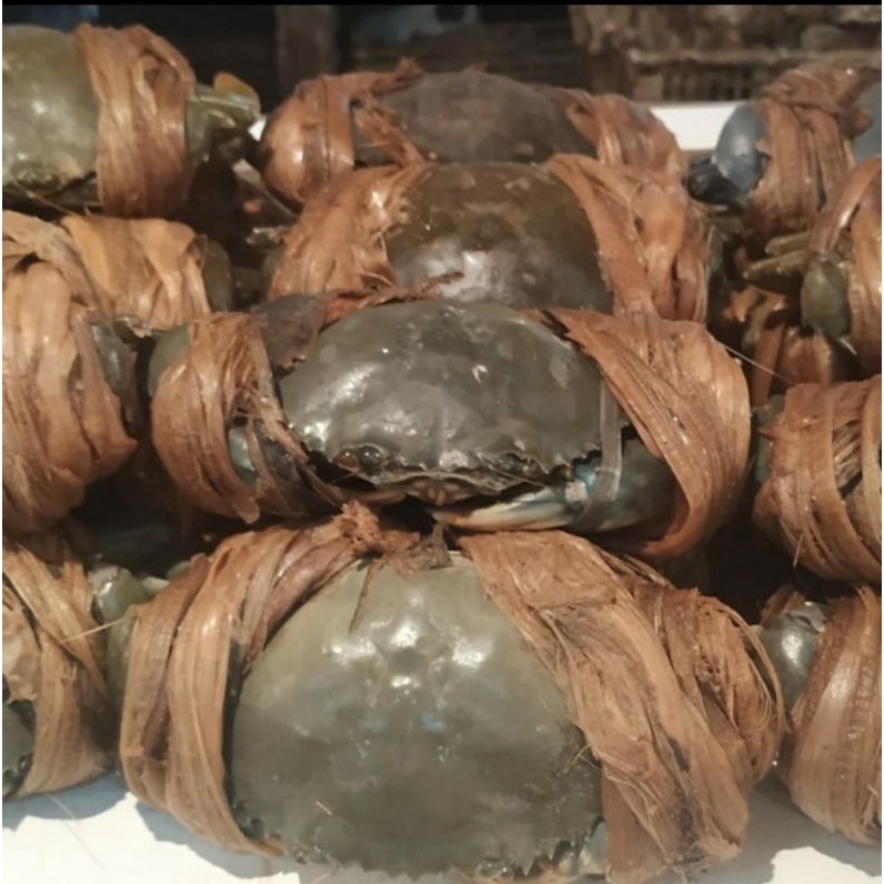 Jual Kepiting Hijau Hidup / Kepiting Segar 1-KG / Segar & Beku 1-KG ...