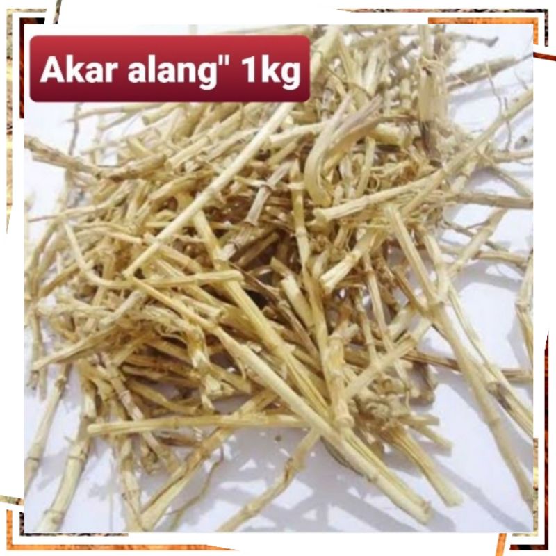 Jual Akar Alang Alang Kering 1kg | Shopee Indonesia