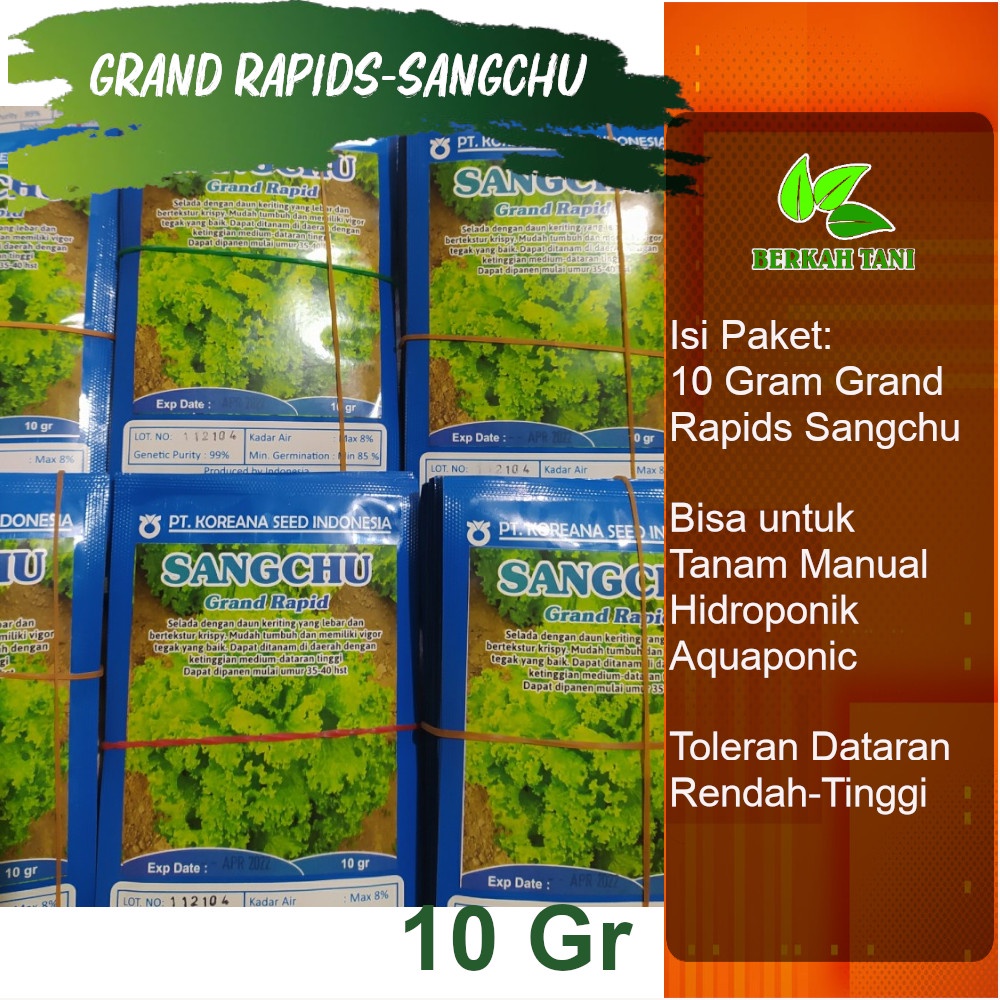Jual Benih Selada Hijau Grand Rapids Sangchu 10 Gram | Shopee Indonesia