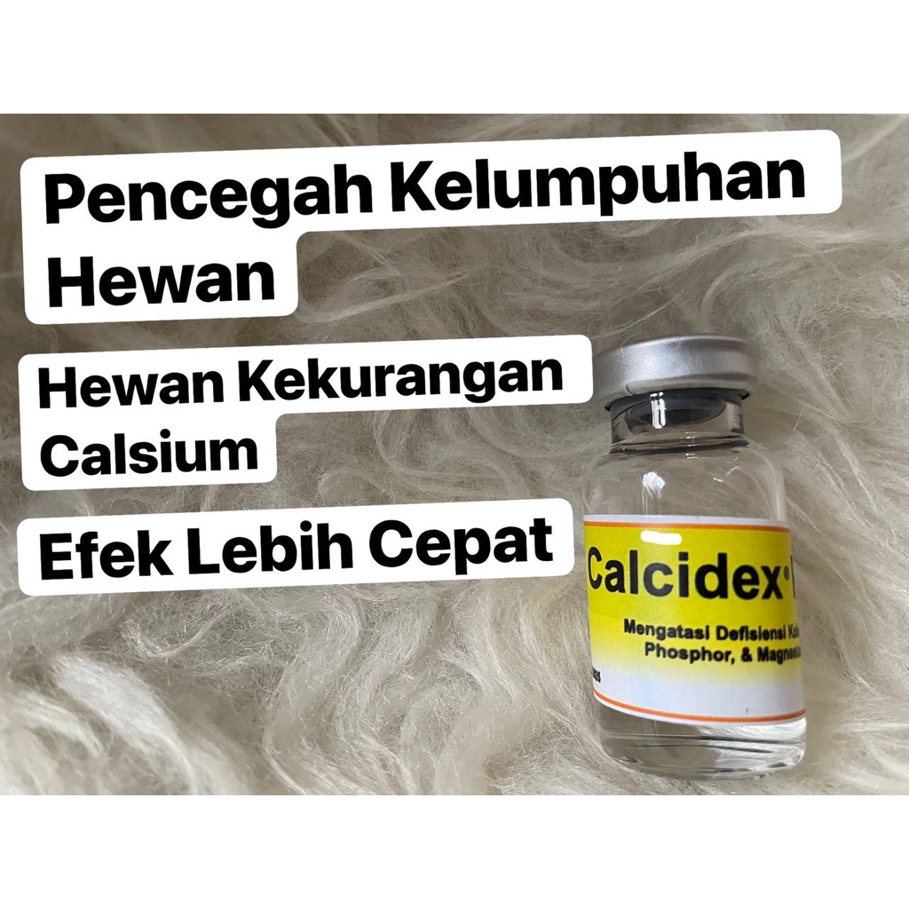Jual CALCIDEX PLUS Injeksi Obat Sapi Kambing Kelinci Lumpuh Injeksi ...