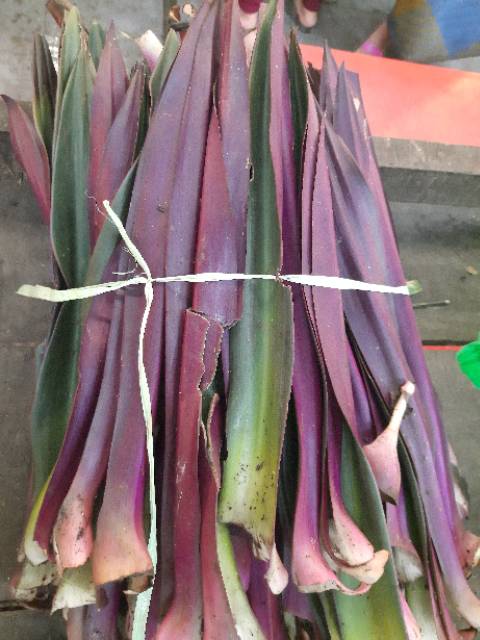 Jual Liang Te / Liong Cha Mentah Pontianak- Bahan Baku Es Teh Khas ...