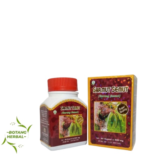 Jual Sarmut Semut Kapsul | Sarmut | Sarang Semut Isi 60 Kapsul / Kapsul ...