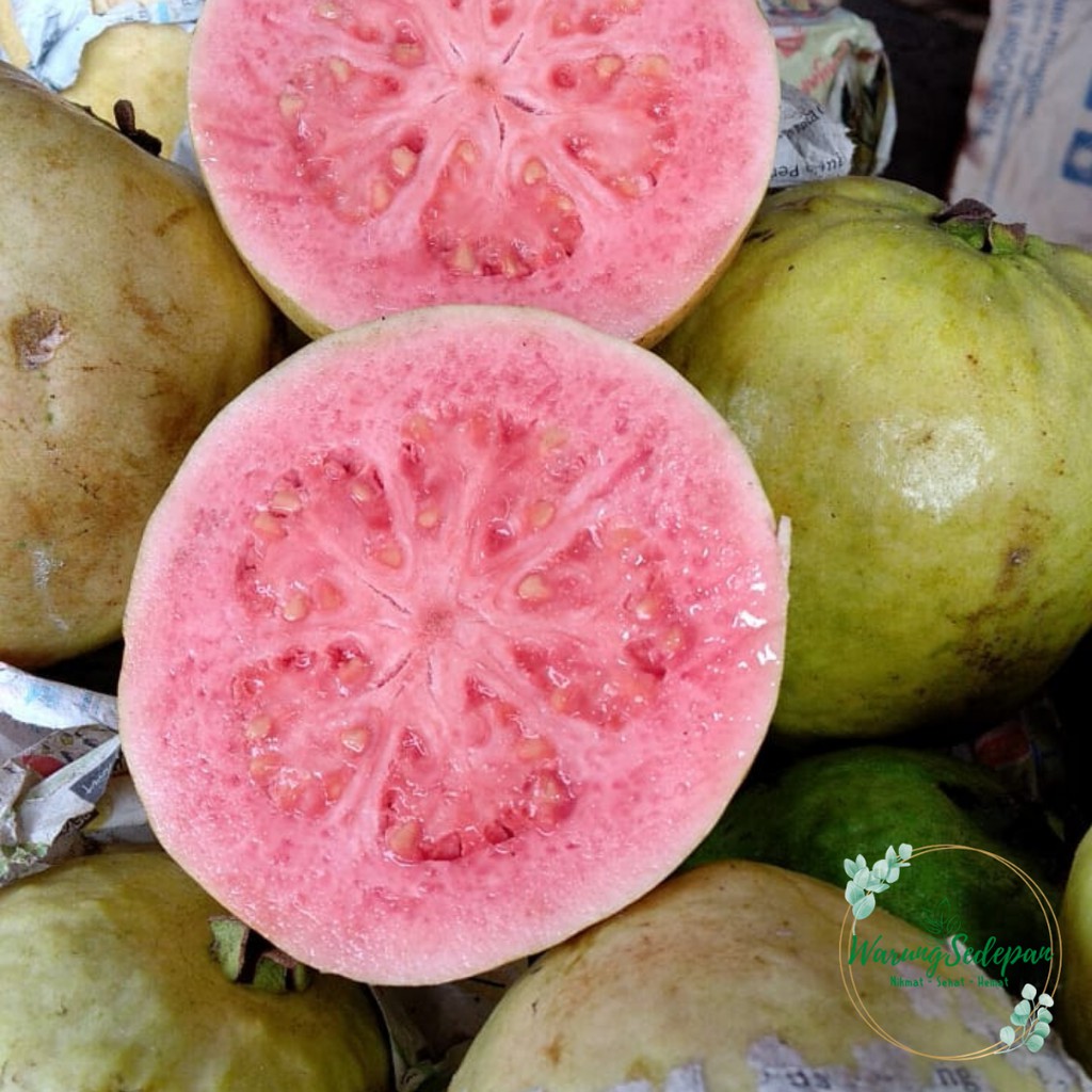 Jual Jambu Merah Biji Buah Segar Cikarang Buah Murah Cikarang | Shopee ...