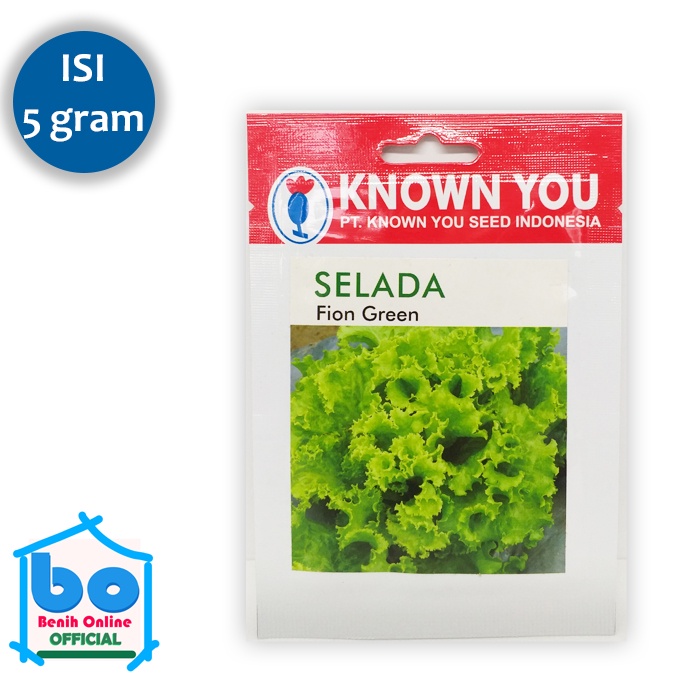 Jual Benih Selada Hijau Keriting Fion Green Known You Seed | Shopee ...