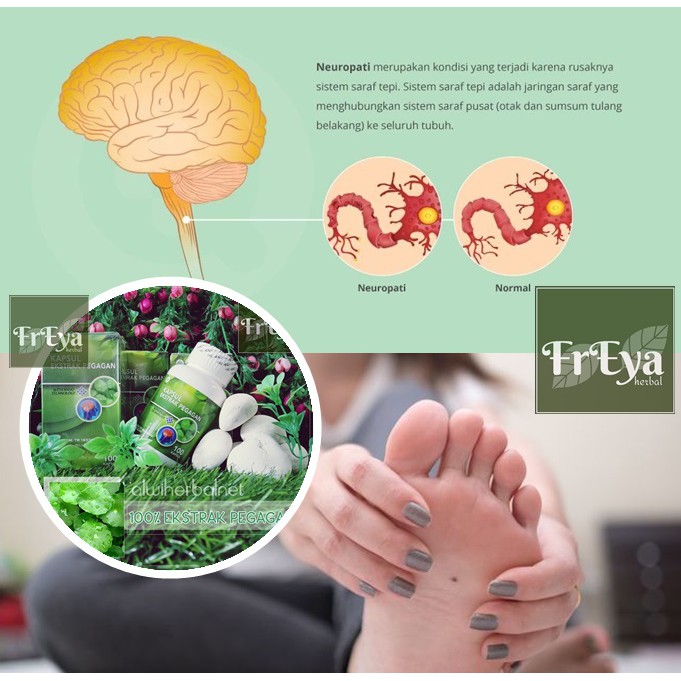 Jual OBAT NEUROPATI, OBAT MONONEUROPATI, OBAT MONONEURITIS MULTIPLE ...