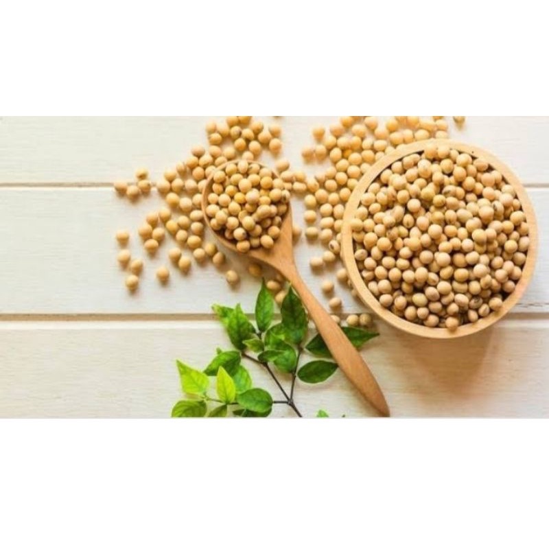 Jual BENIH KEDELAI VARIATES GROBOGAN/ ANJASMORO BERKUALITAS SUPER 500 ...