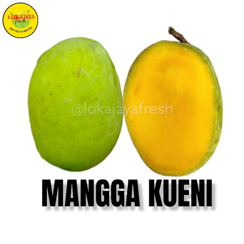 Jual Mangga Kweni Kueni 1 Kg | Shopee Indonesia