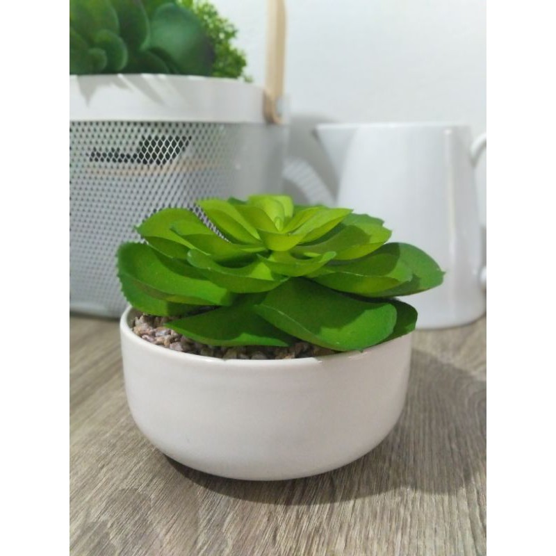 Jual sukulen artifisial besar dengan pot keramik | Shopee Indonesia