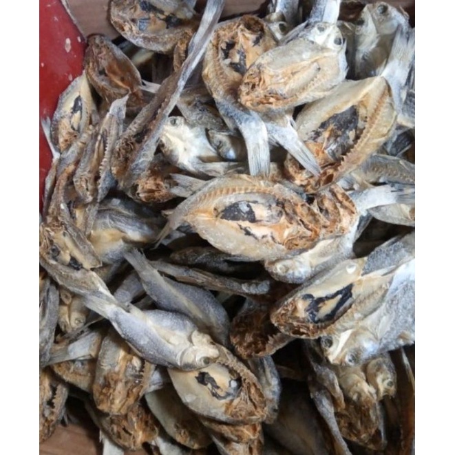 Jual ikan asin BLANAK 500 gram setengah kilo | Shopee Indonesia