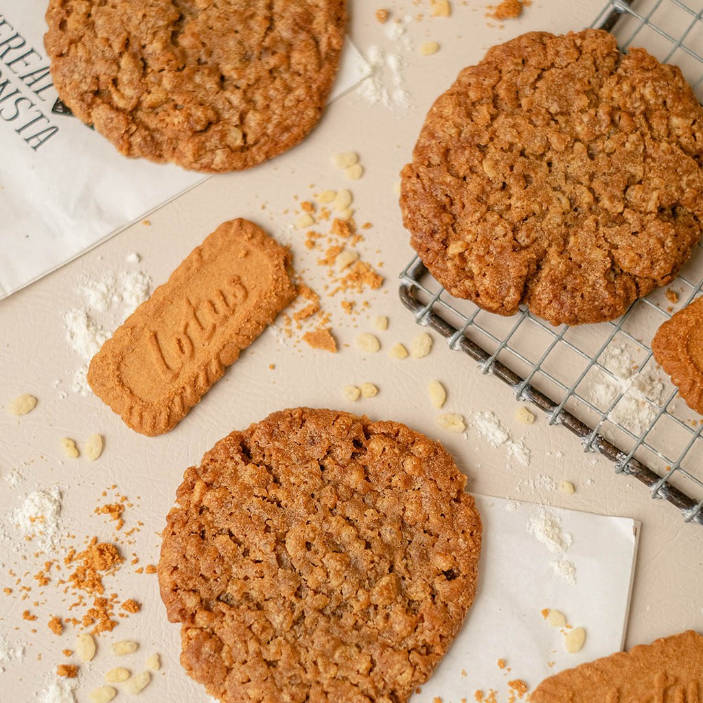 Jual Speculoos Krispies Cookie - Cereal Monsta | Shopee Indonesia