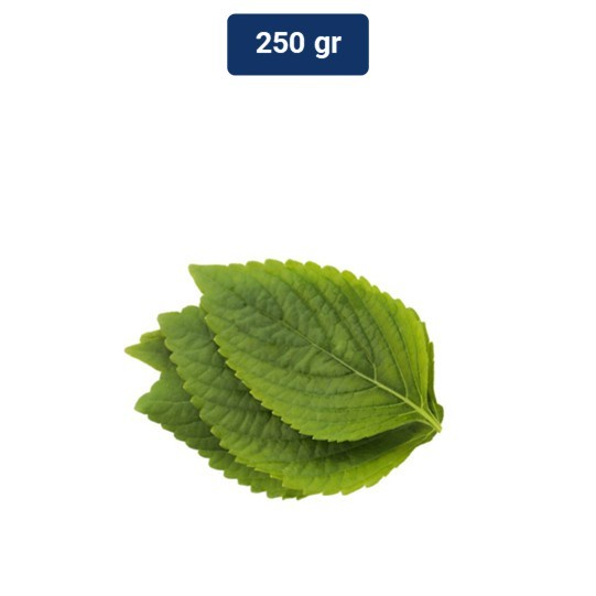 Jual Daun Perila / Kenip 250 gr | Shopee Indonesia