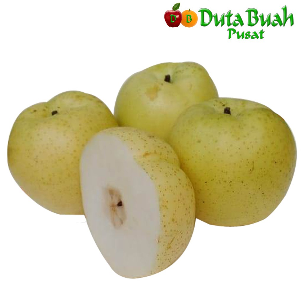 Jual DUTA BUAH Pear Golden Super (900g-1kg/2-4pcs) | Shopee Indonesia