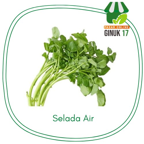 Jual [PASAR ONLINE] SAYUR SELADA AIR SEGAR 1 IKAT | Shopee Indonesia