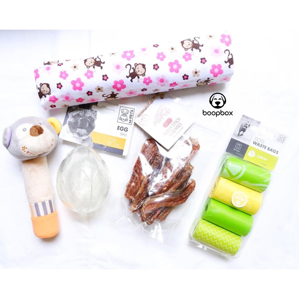 Jual Boop Box Dog Birthday Gift - Kado Ulang Tahun Anjing (Small Dog ...