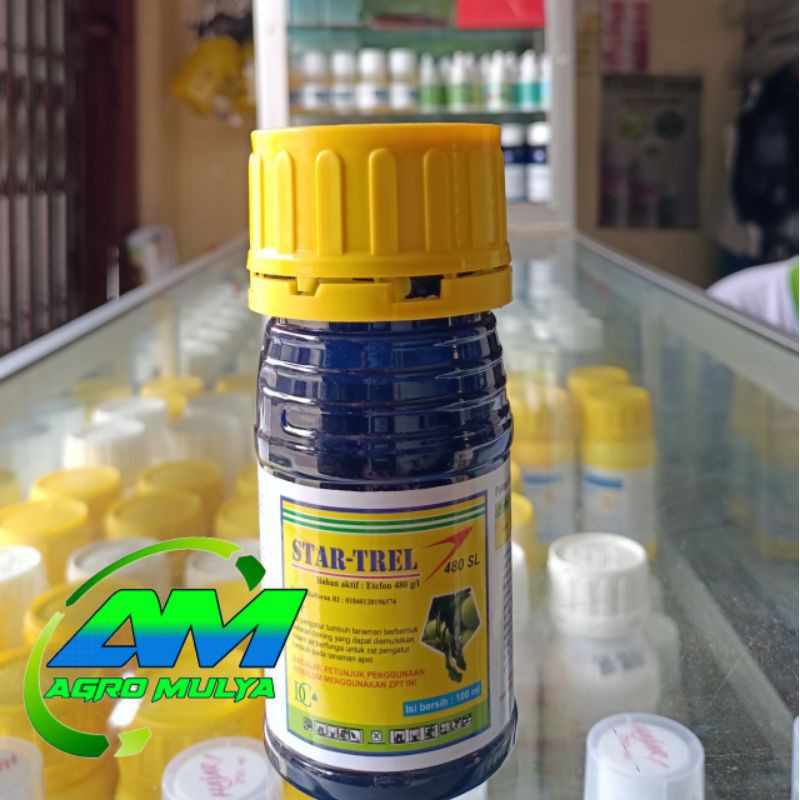 Jual Startrel sejenis ethrel 480 SL 100ml untuk pematang buah | Shopee ...