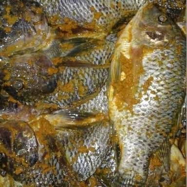 Jual ikan mujaer - mujair ungkep bumbu kuning tinggal goreng | Shopee ...