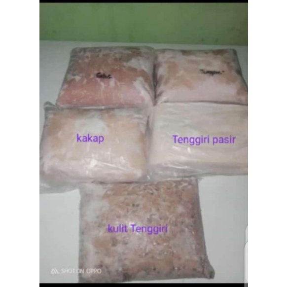 Jual Ikan Giling Kualitas Pabrik (Tenggiri Pasir) | Shopee Indonesia