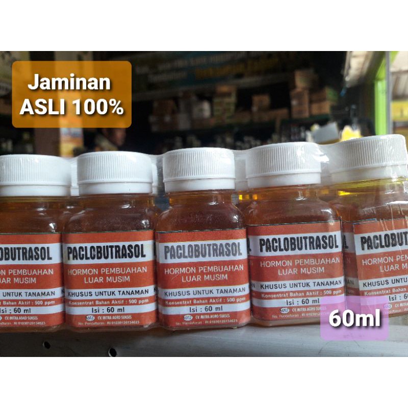 Jual ORIGINAL ASLI Paclobutrazol PAKLOBUTRAZOL MURNI Hormon Paclo Paklo ...