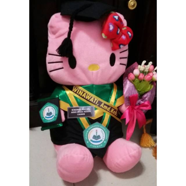 Jual BONEKA WISUDA HELLO KITTY JUMBO 50CM LENGKAP / BONEKA TOGA WISUDA ...
