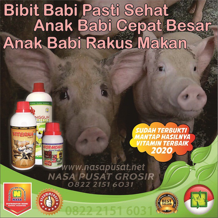 Jual Obat Babi Tidak Mau Makan | Shopee Indonesia