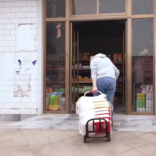 Jual Reaim Trolley Trolley barang serbaguna Beli Makanan dan Belanja ...